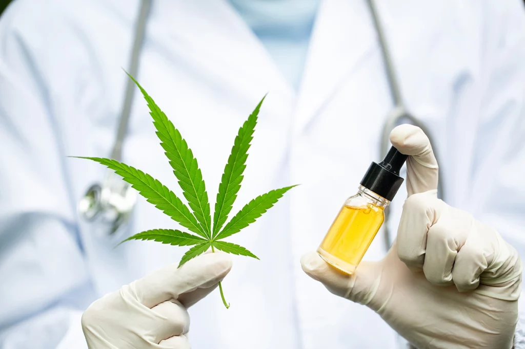 Medical Cannabis Alternative to Traditional Medicine - Bud Drop Blog